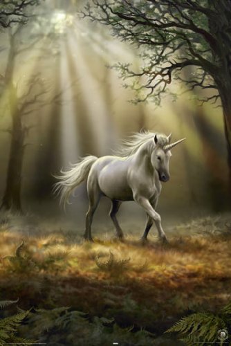 Glimpse of a Unicorn by Anne Stokes, Canvas Print – FairyPuzzled