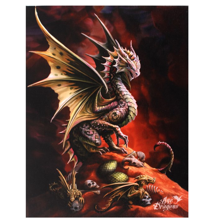 Desert Dragon by Anne Stokes, Canvas Print – FairyPuzzled