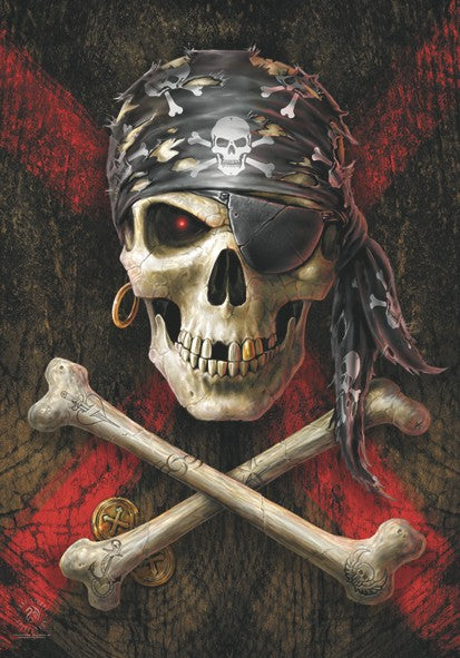 Pirate Skull by Anne Stokes Textile Poster – FairyPuzzled
